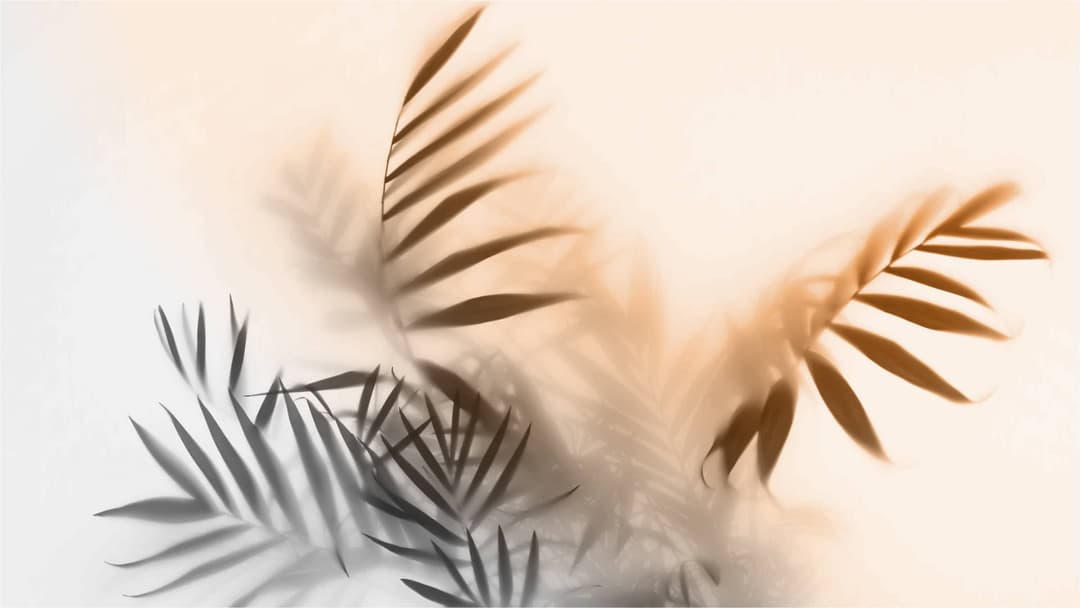 interTwin project - Project Objectives