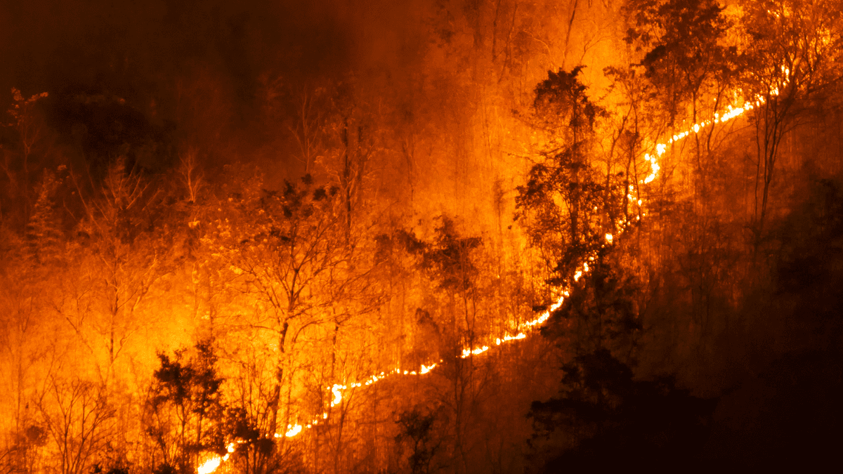 interTwin project - interTwin Use Case: A Digital Twin for projecting ...