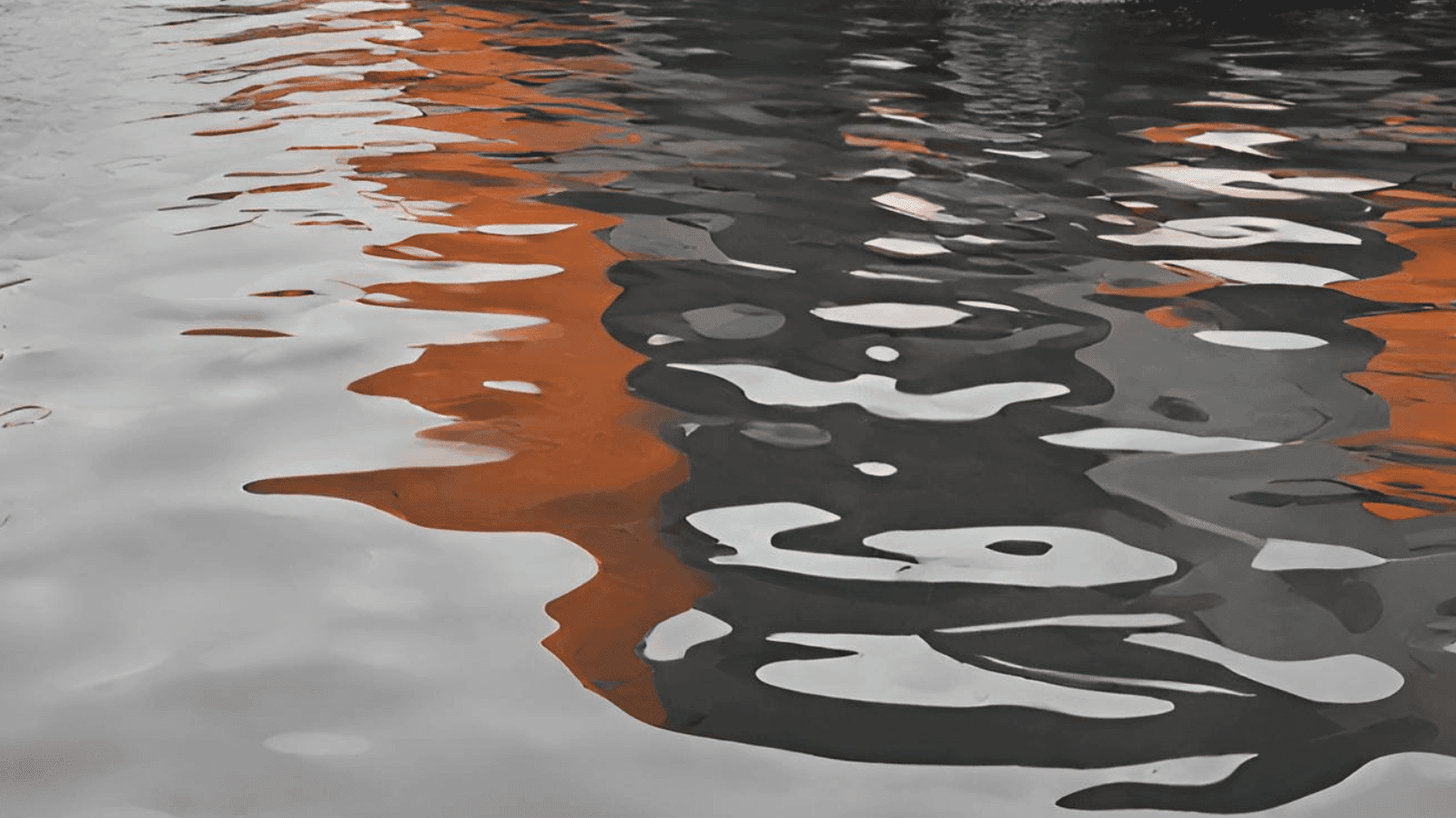 interTwin project - interTwin Use Case: Deploying FloodAdapt, a Digital Twin for flood impact ...